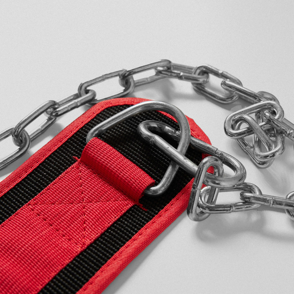 Gymreapers Dip Belt - Heavy Duty Weighted | Dip Belt with Chain